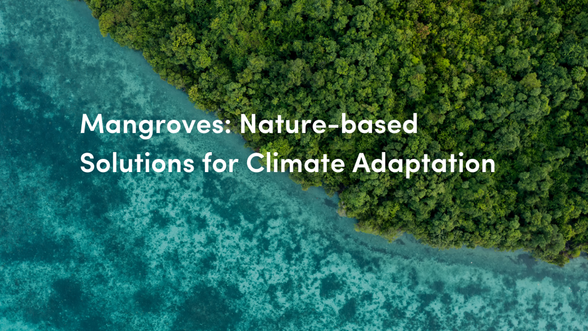 Our White Paper on Mangroves: Nature-based Solutions for Climate ...